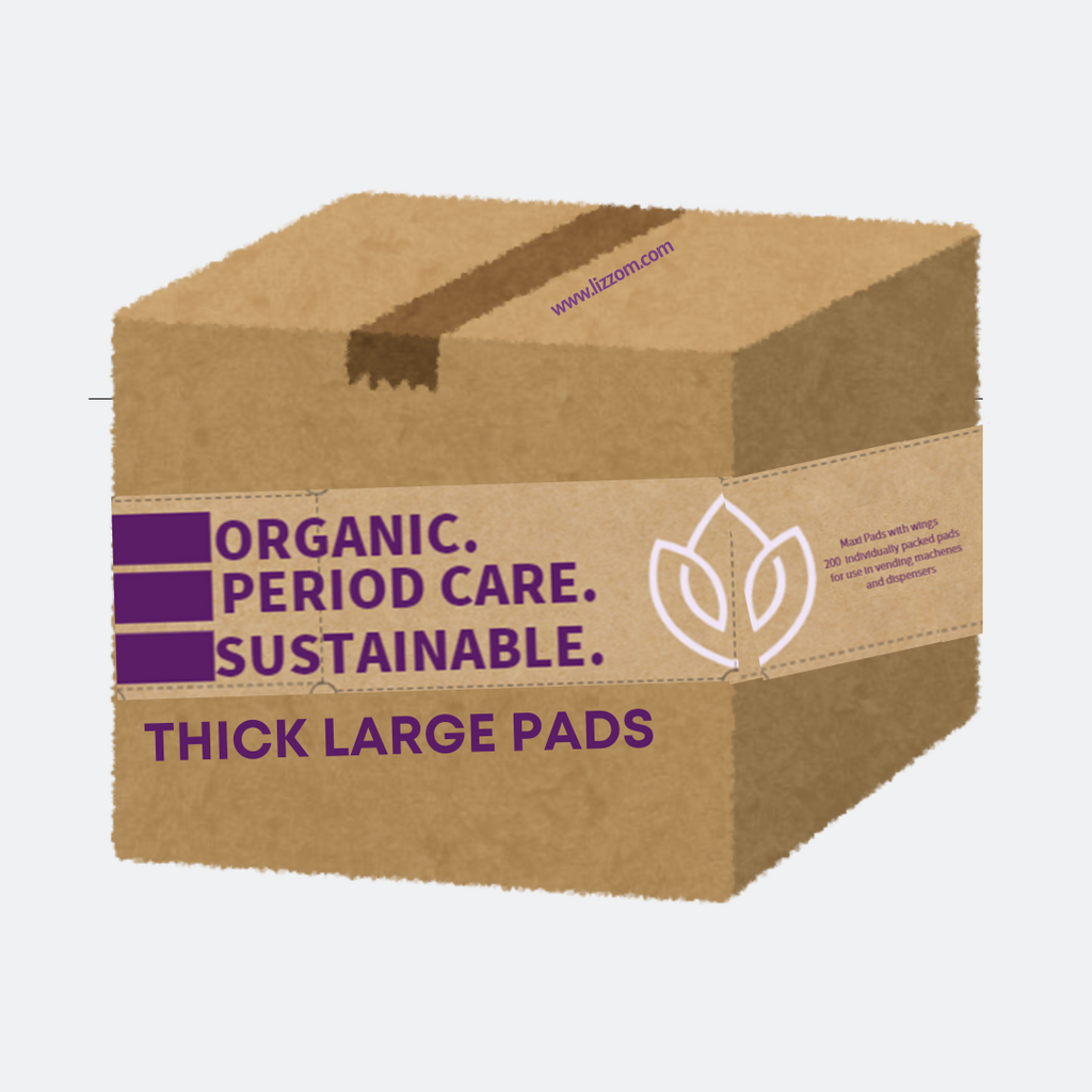 Large THICK Sanitary Pads Case - 200 pads – LiZZOM